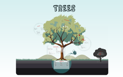 TREES by on Prezi