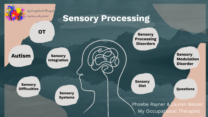 Sensory Processing training (school) by Phoebe R on Prezi