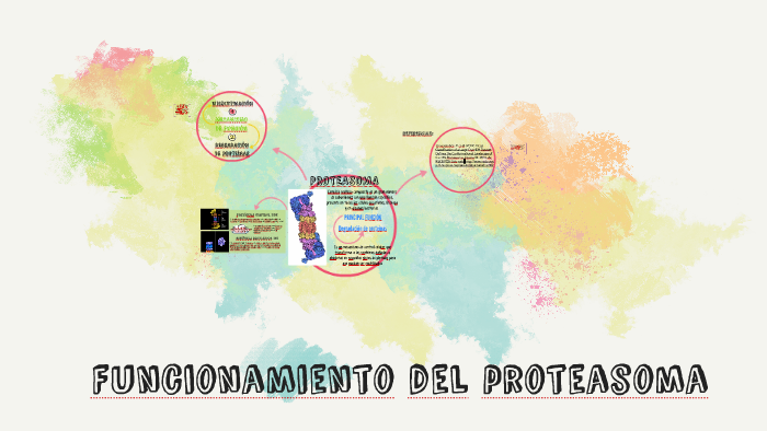 Funcionamiento del proteasoma by Nora Torres on Prezi