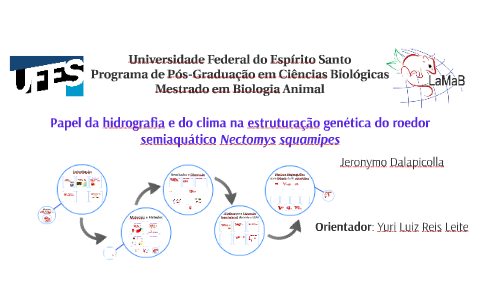 Filogeografia de Nectomys squamipes by Jeronymo Dalapicolla on Prezi