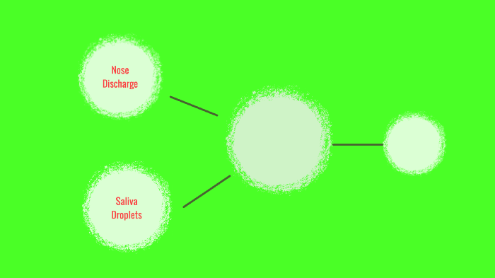 trans by Ena Legaspi on Prezi