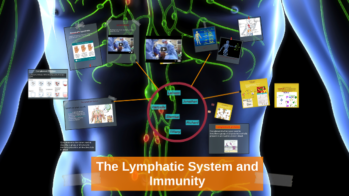 The Lymphatic System and Immunity by Tiffany Hartfield on Prezi