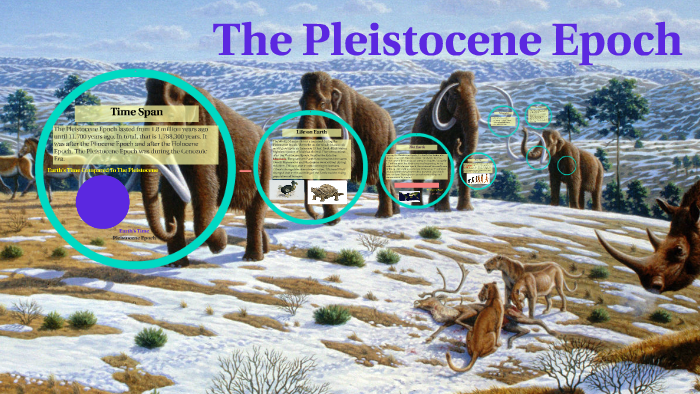 The Pleistocene by Colin Scanlon on Prezi
