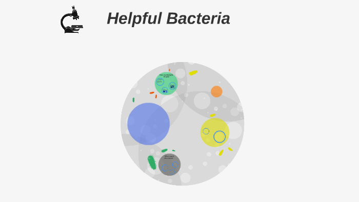 Helpful Bacteria by leo angel on Prezi Next
