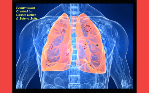 Lung Presentation (Science Fair Project) by Selena Solis on Prezi