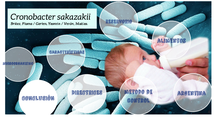 CRONOBACTER SAKAZAKII* by Matias Veron on Prezi