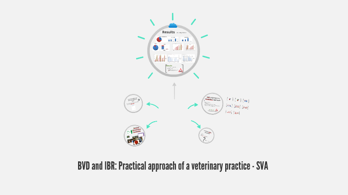 BVD and IBR: Practical approach of a veterinary practice - S by Luís ...