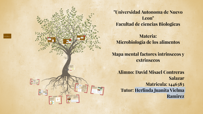 Factores Intrinsecos y extrinsecos by David Misael Contreras Salazar on ...