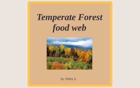 Temperate Forest food web by haley allen on Prezi