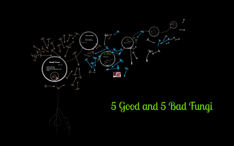 5 Good and 5 Bad Fungi by Jordann Pollex on Prezi