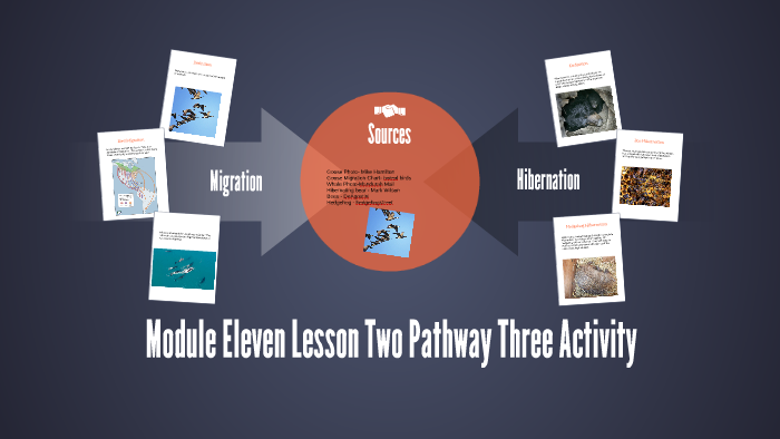 Module Eleven Lesson Two Pathway Three Activity by isaiah stephenson on Prezi