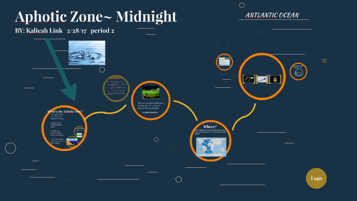 Aphotic Zone~ Midnight by kalieah link on Prezi