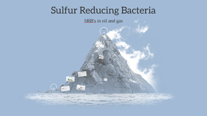 Sulfur Reducing Bacteria by Nick Chown on Prezi