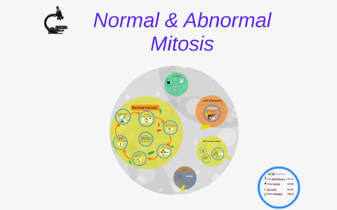 Normal & Abnormal Mitosis by Lina Elmasry on Prezi