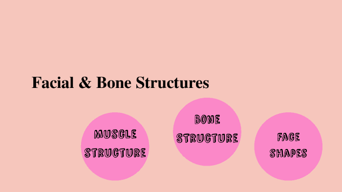 Facial & Bone Structures by Lorna Wotherspoon on Prezi