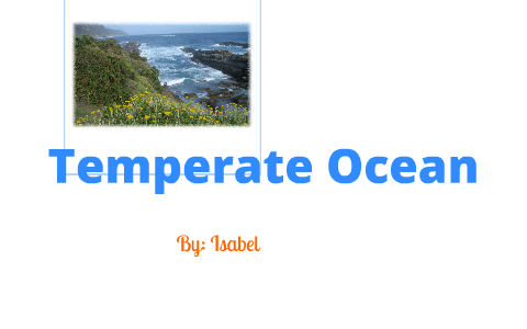 TEMPERATE OCEAN by isabel mckim