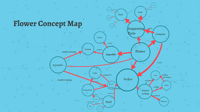 Flower Concept Map by m f on Prezi