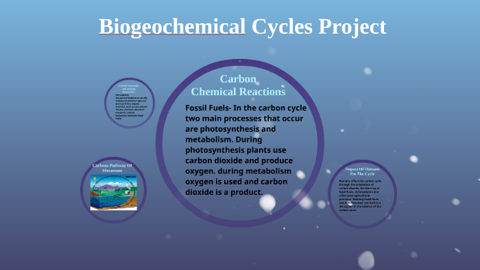 Biogeochemical Cycles Project by ana abrego on Prezi