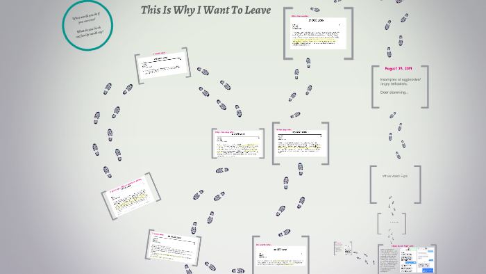Emotional Timeline by Amy L