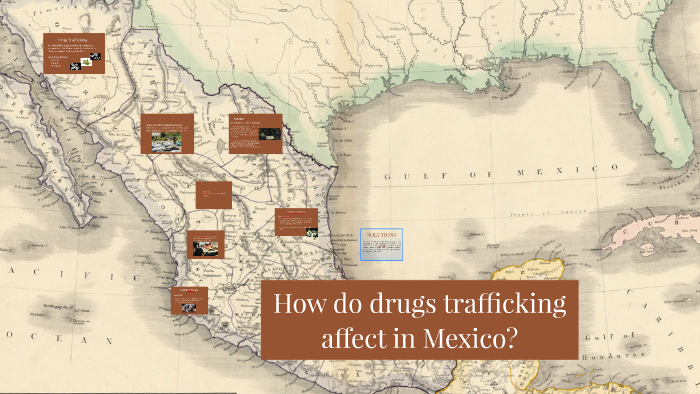 how do drugs trafficking affect in Mexico? by Viviana Sierra on Prezi
