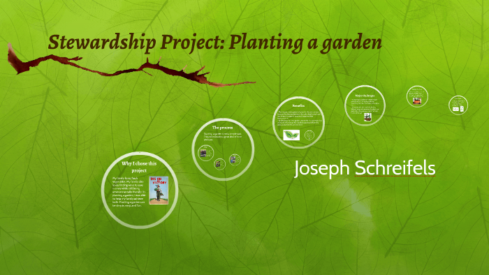Stewardship Project: Planting a garden by Joseph Schreifels on Prezi