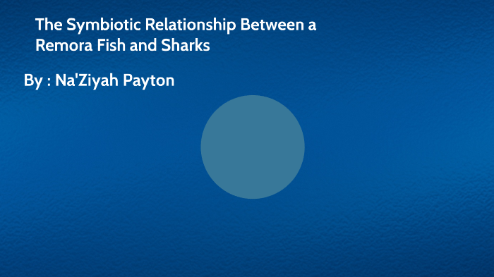 Symbiotic Relationships by Na'Ziyah Payton on Prezi