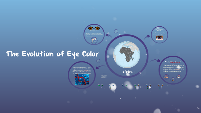The Evolution of Eye Color by Evangeline Dotillos on Prezi