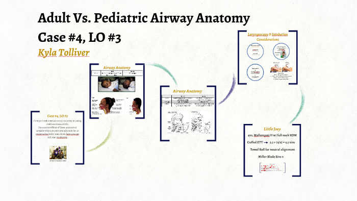 Adult Vs. Pediatric Airway Anatomy by Kyla Tolliver on Prezi