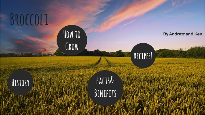 the broccoli by Ken Hagiya on Prezi