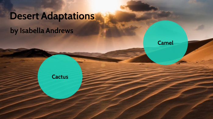 Desert Adaptations by Izzy Andrews on Prezi
