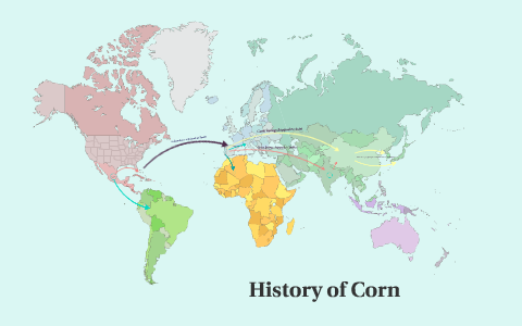 History of Corn by katie bosco on Prezi