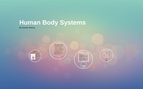 Human Body Systems by Haemin Hwang