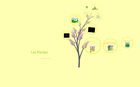 Las Plantas by Caroline Ignacia Ramírez Zamora on Prezi