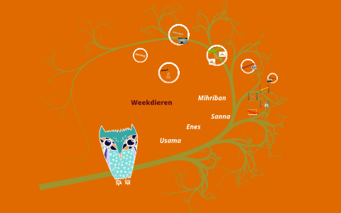 biologie weekdieren by Sana Bas