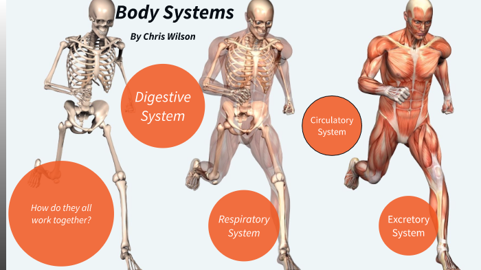 Science Body Systems Real One by Chris Wilson on Prezi