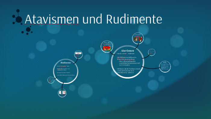 Atavismen und Rudimente by Inken Schaffer on Prezi
