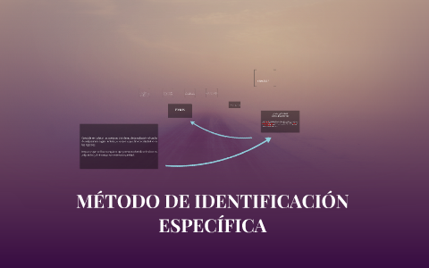 MÉTODO DE VALORACIÓN DE INVENTARIO IDENTIFICACIÓN ESPECÍFICA by KELLY ...