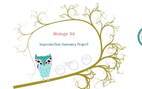 Bio 30 Reproduction Summary Project by mark bridgman on Prezi