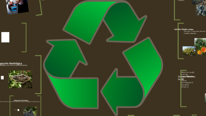 1° Prueba de Prezi Melly Valenzuela Jiménez by on Prezi