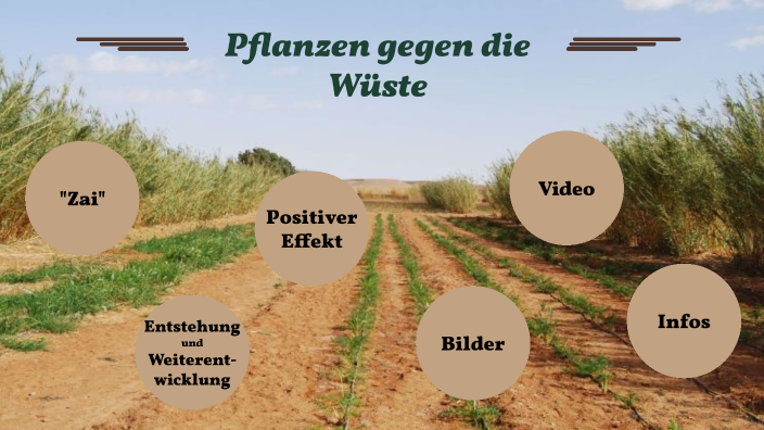 Pflanzen gegen die Wüste (mit Zai gegen die Wüste) by Henrik Blinn on Prezi