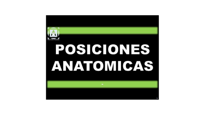 Posicion Genupectoral by Em Fierro on Prezi