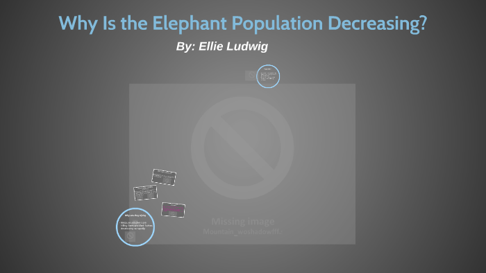 Why Is the Elephant Population Decreasing? by Ellie Ludwig : ) on Prezi
