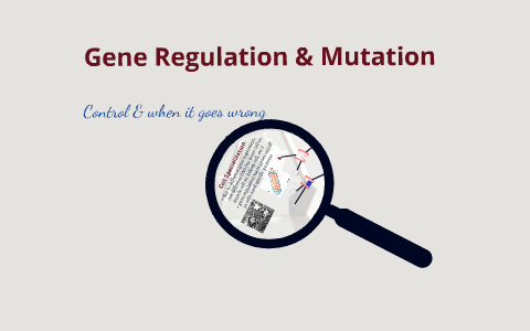 Gene Regulation & Mutation by Katie Hermens on Prezi