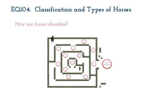 EQ 104: Classification and Types of Horses by Dan McNary on Prezi