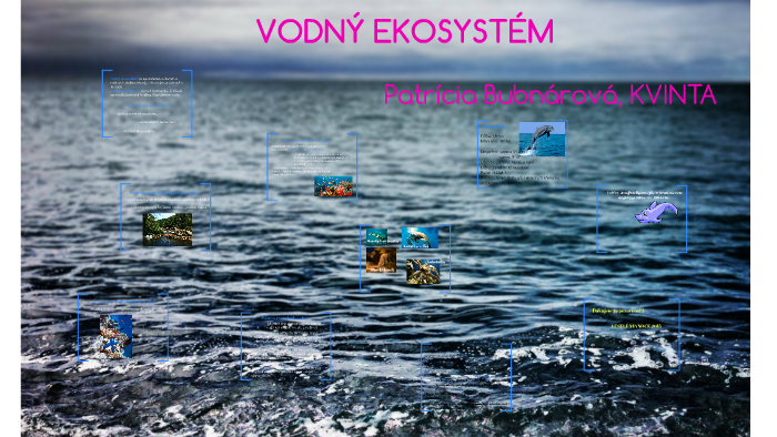 VODNÝ EKOSYSTÉM by Patricija Bubnárová on Prezi