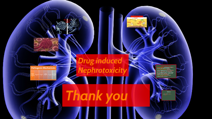 Drug induced nephrotoxicity by ahmed samir on Prezi