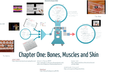 13-Bones, Muscles and Skin by Lisa OConnor on Prezi