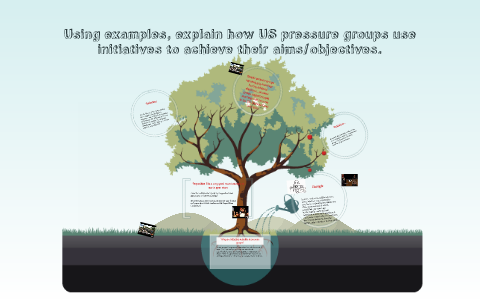 Using examples, explain how US pressure groups use initiativ by Daniel ...