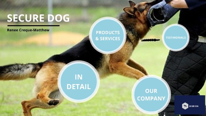 Final Role Play by Renee Creque on Prezi