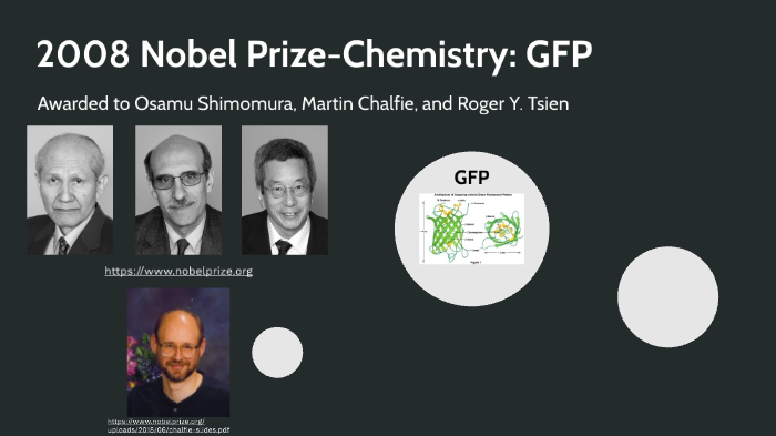 2008 Nobel Prize Winners-GFP by Nicholas Maurer on Prezi